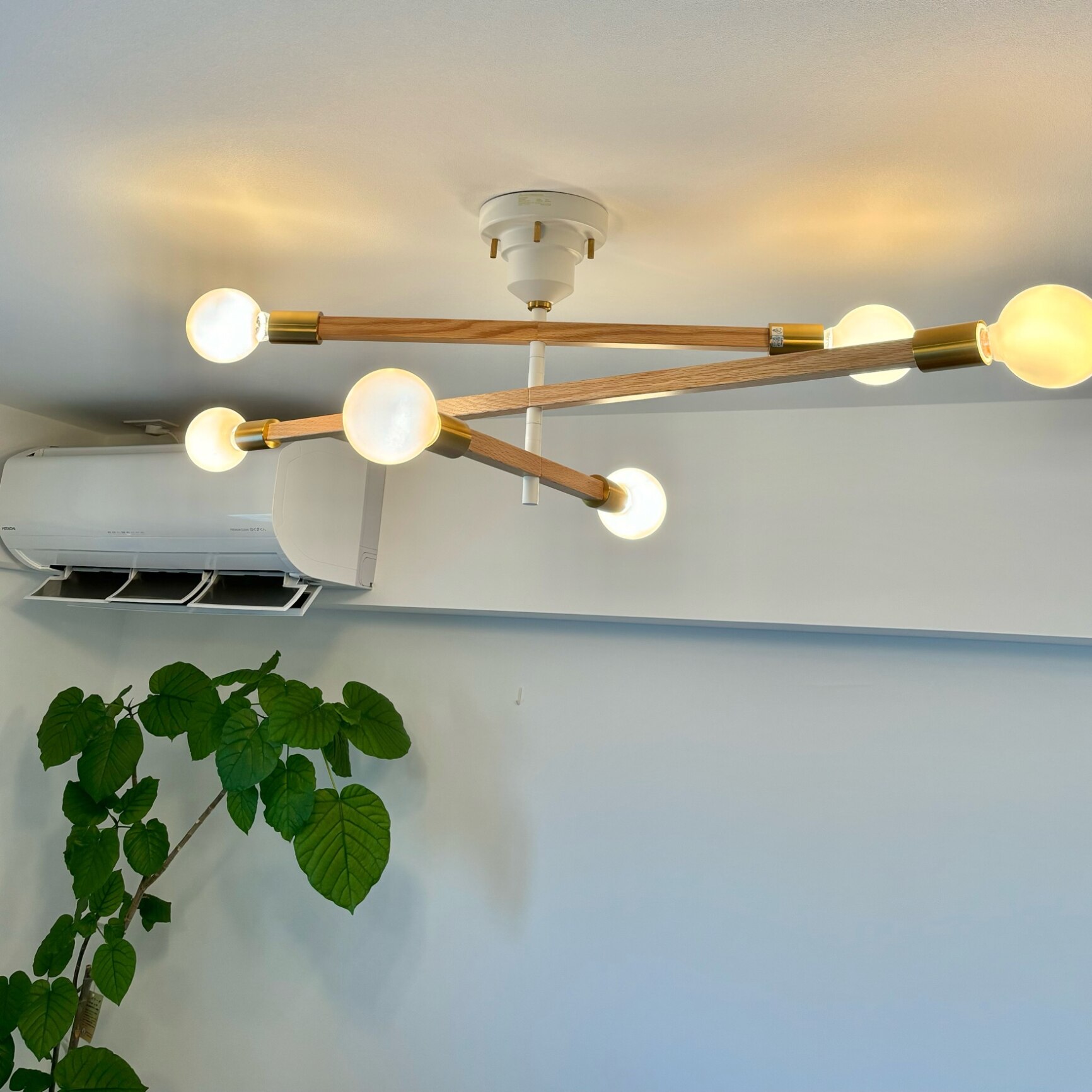 【インターフォルム公式】 シーリングライト アストルバウム Astre -baum- | 照明 おしゃれ リビング照明 シーリング 天井照明 LED 北欧 ナチュラル シンプル 海外インテリア ...