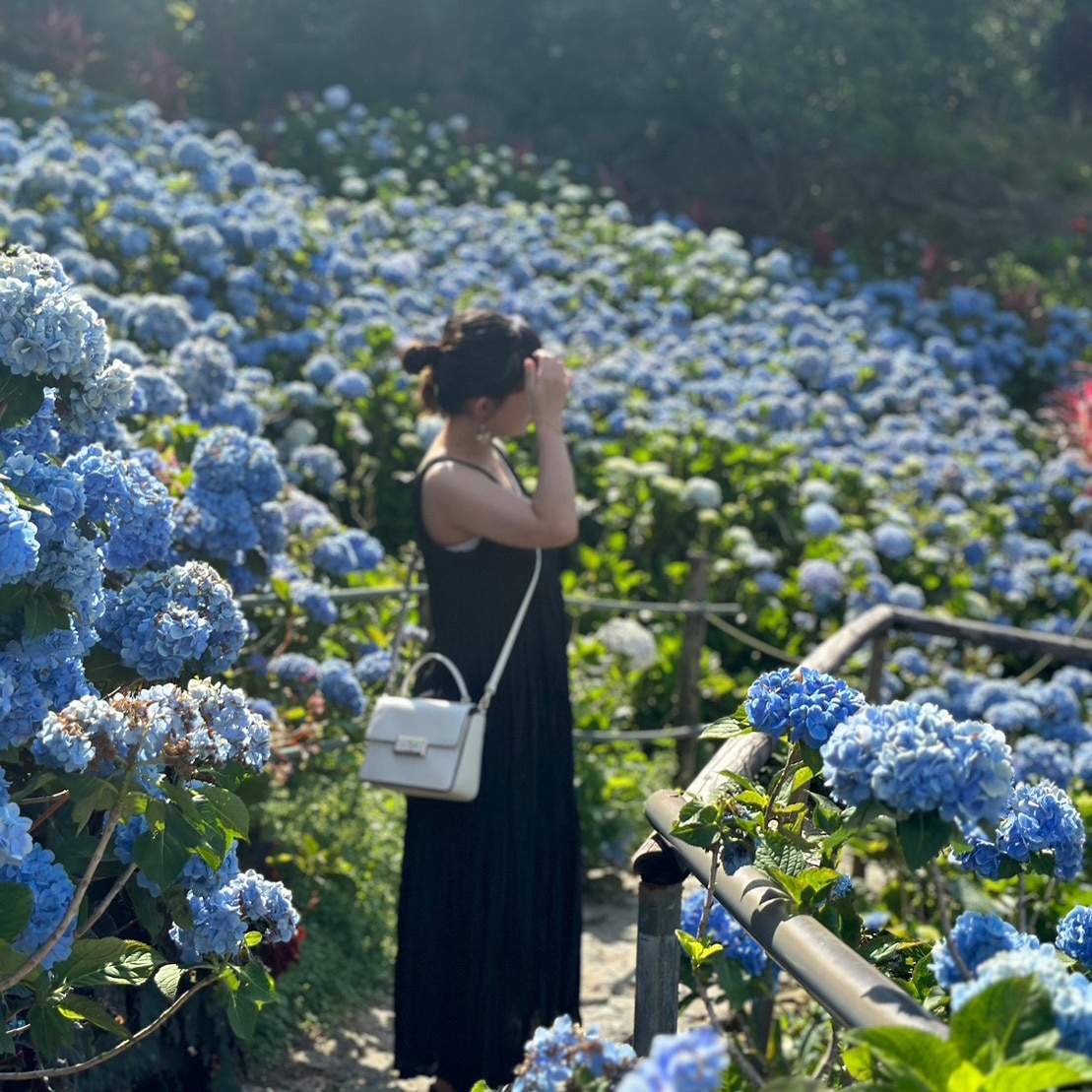 yuuki のROOM - 欲しい! に出会える。