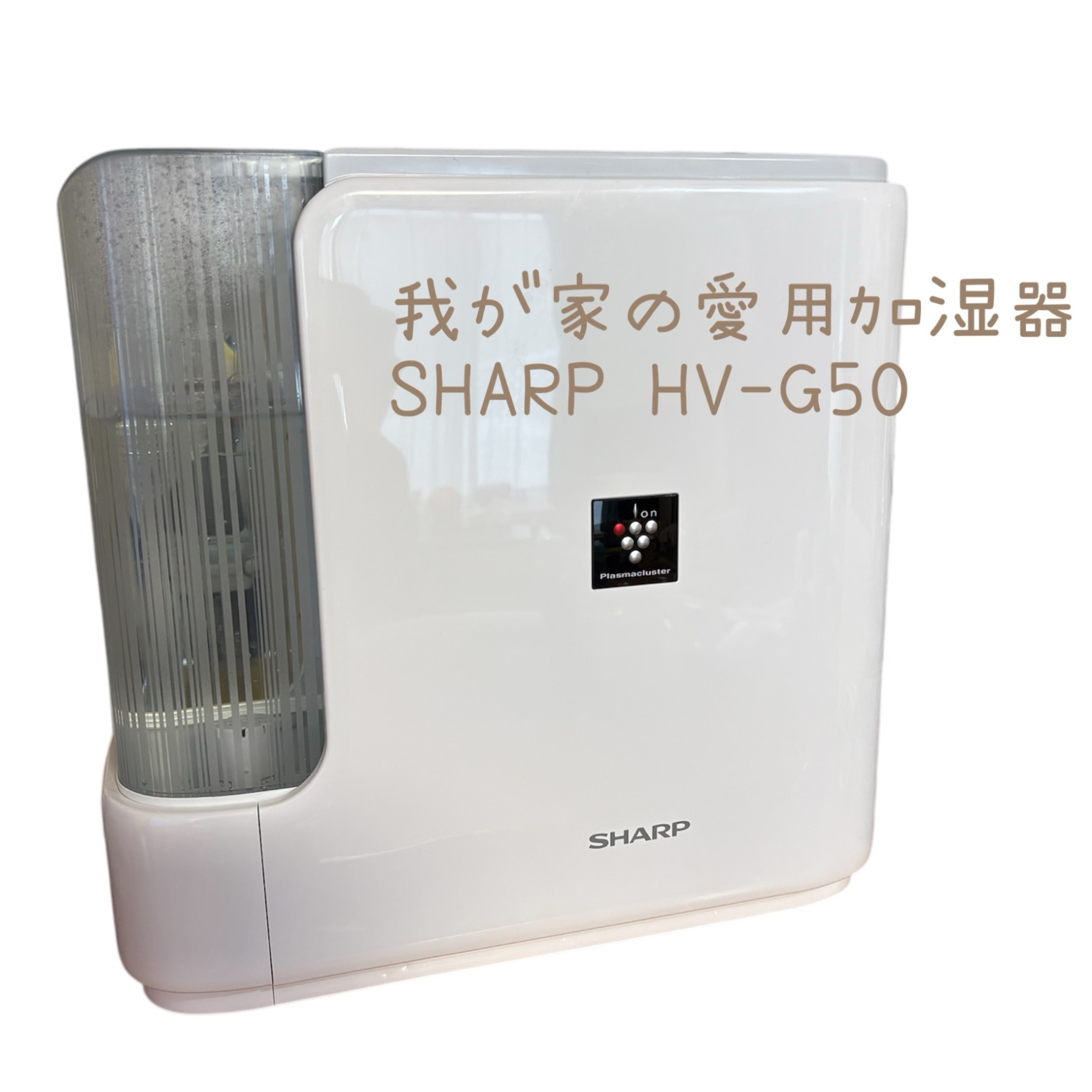 HV-FY5 加湿器 加湿フィルター hv-fy5 ag+イオンカートリッジ FZ-AG01K1 シャープ 加湿機 フィルター 交換用 イオンカートリッジ fz-ago1k1 (互換品/1セット入り)