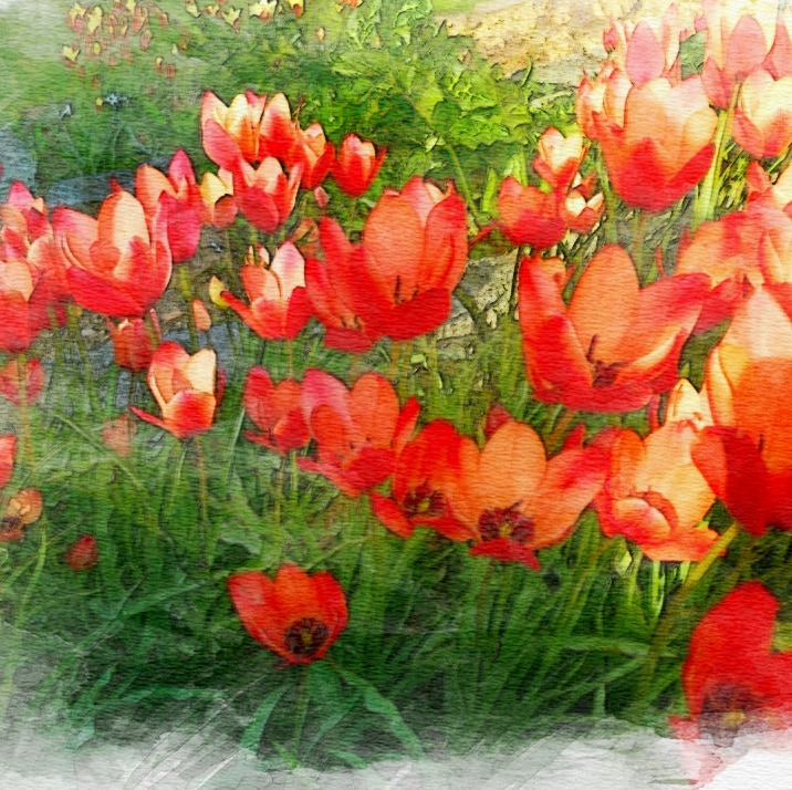 hiro・P のROOM - 欲しい! に出会える。