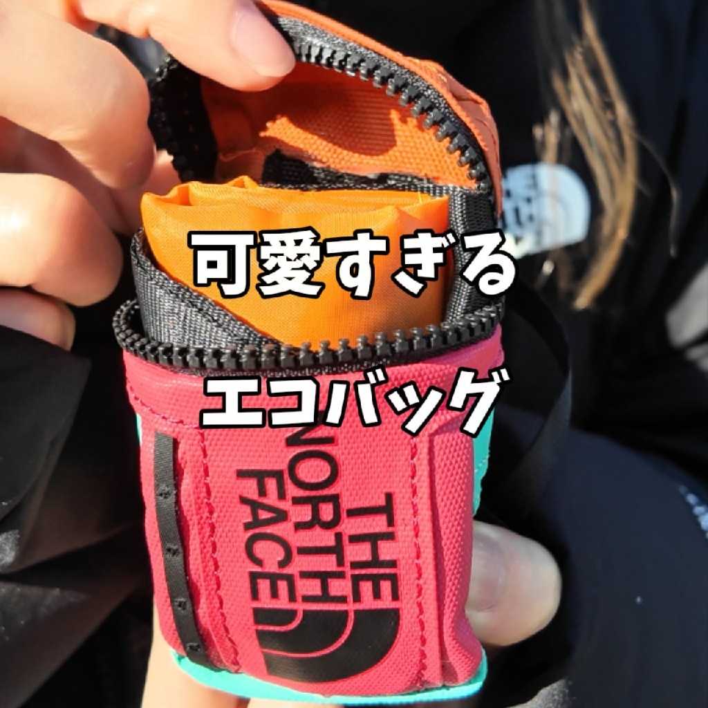 THE NORTH FACE (ザ・ノース・フェイス) BCヒューズボックスエコトート NN32328 BC Fuse Box Eco ...