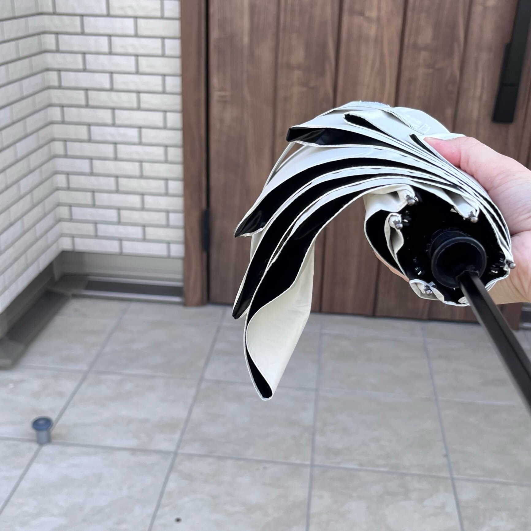 【楽天1位100冠 SATTO 3秒で畳める次世代形状記憶傘 】 たたみやすい 日傘 折りたたみ 完全遮光 ブランド 晴雨兼用 軽量 折りたたみ傘 折り畳み おしゃれ 軽い 2way ワン ...