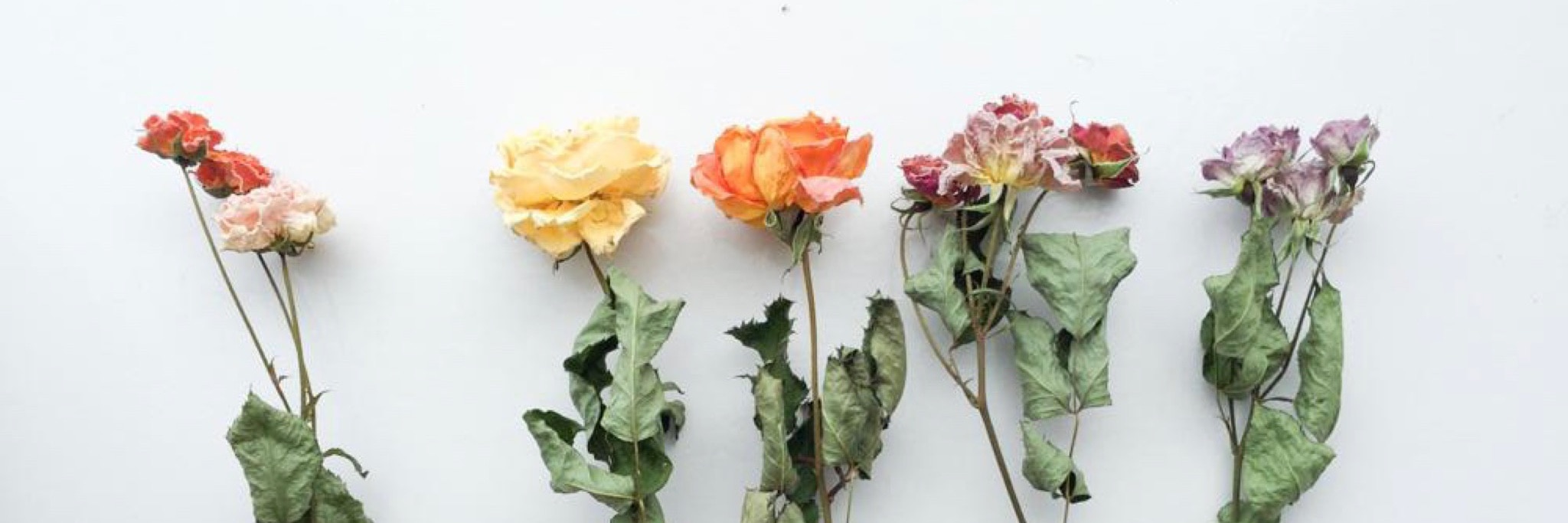 𝘮𝘪𝘴𝘢𝘵𝘰 のROOM - 欲しい! に出会える。