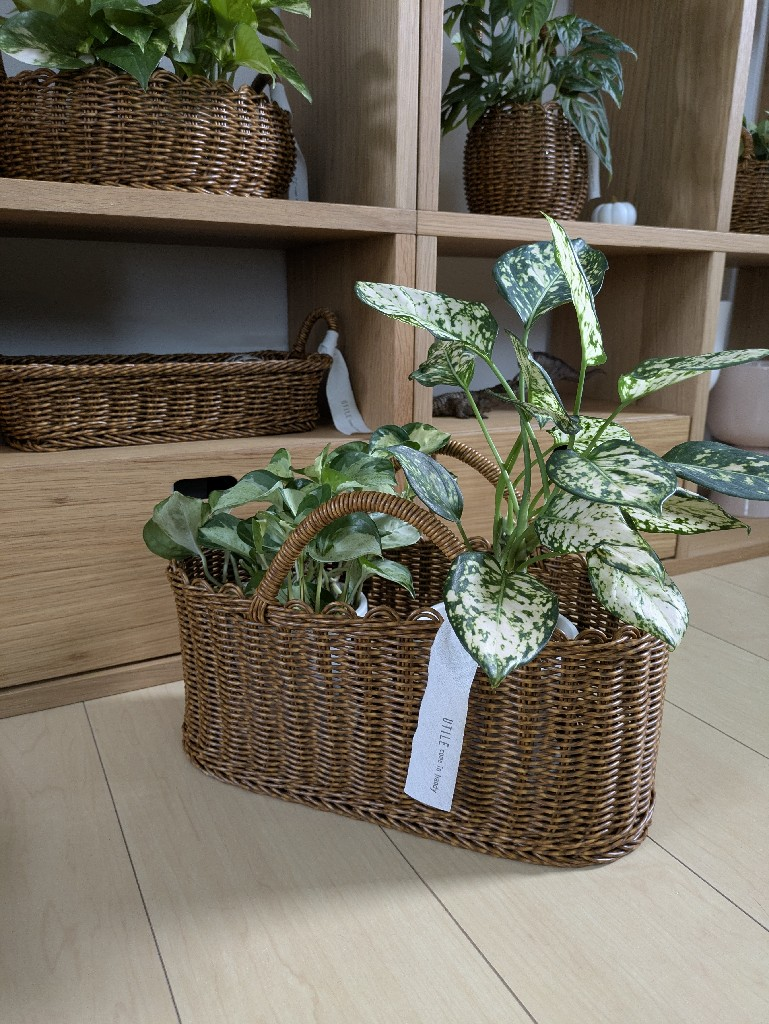 《10%OFFクーポン》[ UTILE ユティル オーバルハンドル バスケット L ] 正規品 掃除道具 ボトル シャンプー コンディショナー ボディソープ ジム お風呂グッズ 洗面 洗顔 ...