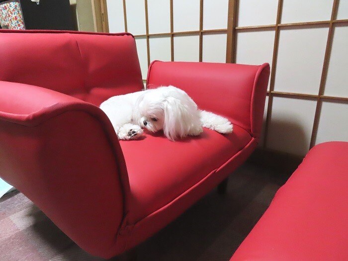 「KAN 1P」ソファA282＋オットマンA281のセットソファ ソファ ソファー ローソファー フロアソファー リクライニング リクライニングソファ リクライニング1人掛け用ソファ 1人掛け ...