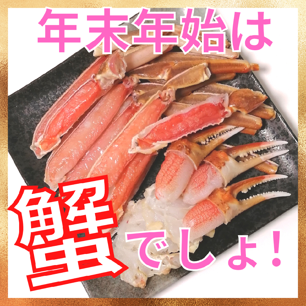 【ふるさと納税】B23-198 鳥取門永 カット済み生ズワイガニ 700g (総重量1kg)