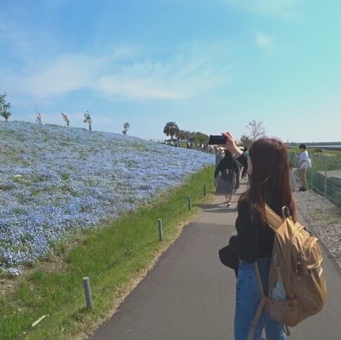 mst のROOM - 欲しい! に出会える。