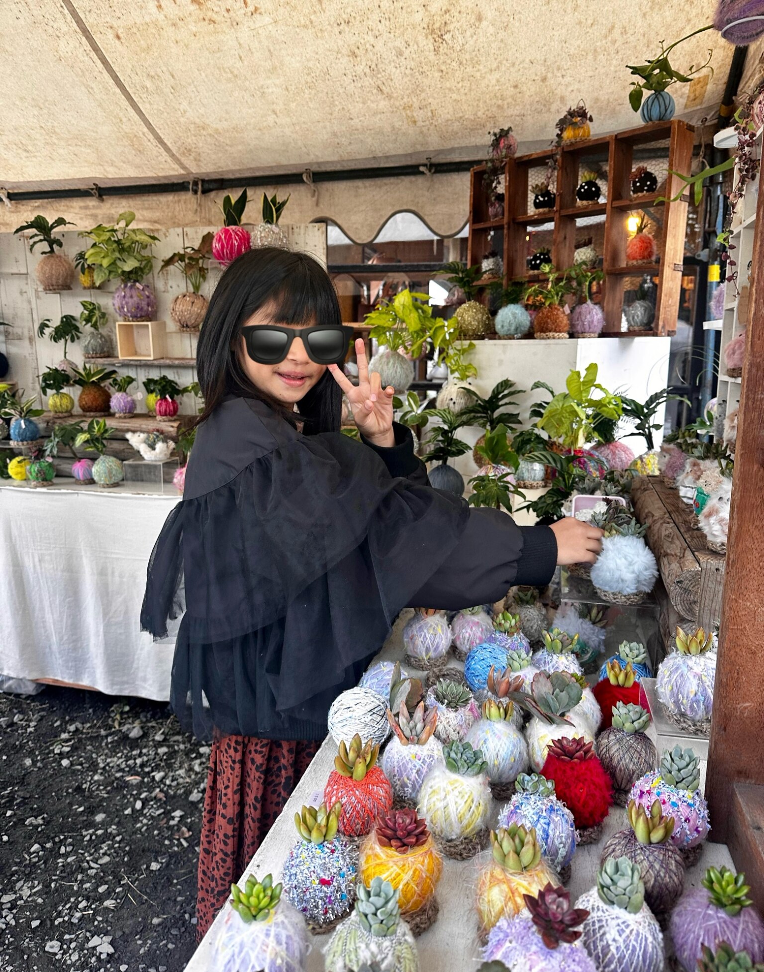 【半額クーポン対象】Lajour made in Japan 日本製 チュール ラッフルフリル ブルゾン クロップド丈 異素材切替え アウター レディース おすすめ ラジュール 2025秋冬 ...