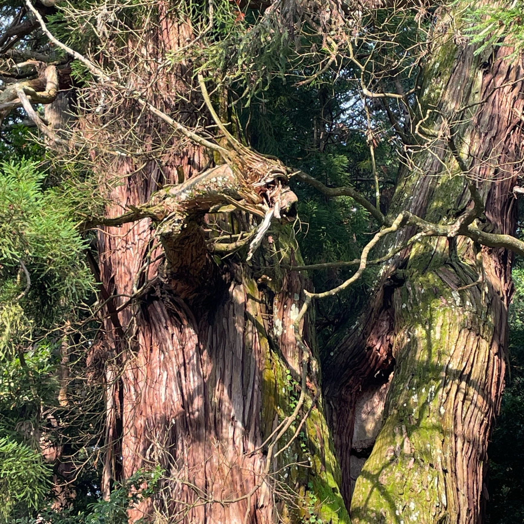 hiro/hiro のROOM - 欲しい! に出会える。