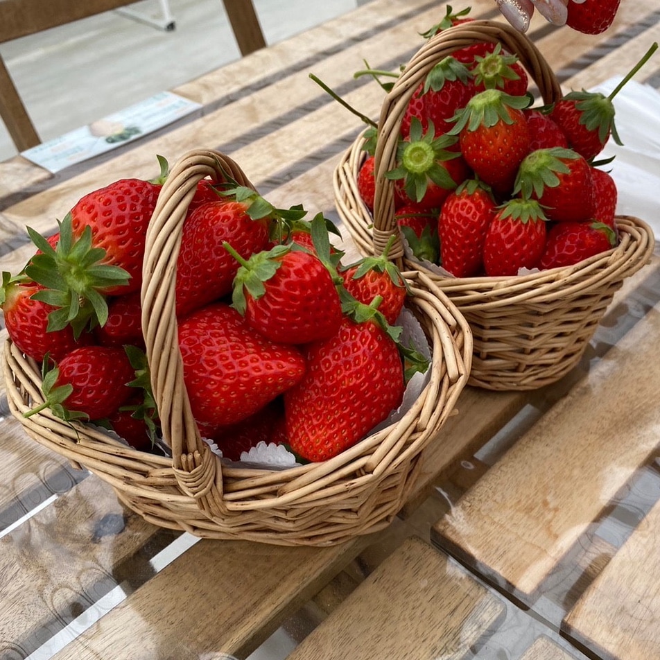 misato のROOM - 欲しい! に出会える。