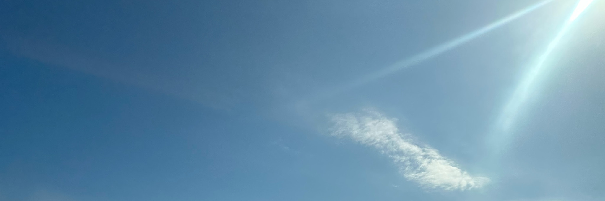 🐈‍⬛coco3.5🐈‍⬛🩶 のROOM - 欲しい! に出会える。