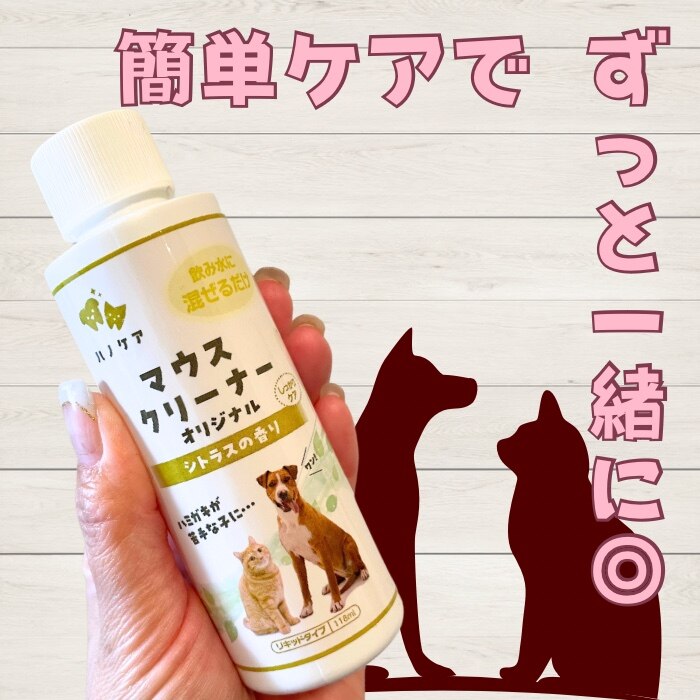【複数購入で3％OFF】KPS マウスクリーナー 118ml リキッドタイプ いぬ ねこ ペット用品 ペット 犬用 猫用 デンタルケア 歯磨き 口腔内環境ケア お手入れ用品 デンタルケア用品 ...