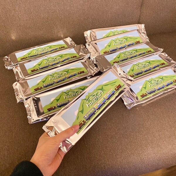 【ふるさと納税】南阿蘇鉄道トロッコショコラ 選べる 容量 発送月 約870g～約2.9kg 1本約145g 6本/10本/20本 ガトーショコラ 濃厚 チョコレート チョコケーキ 美味しい ...