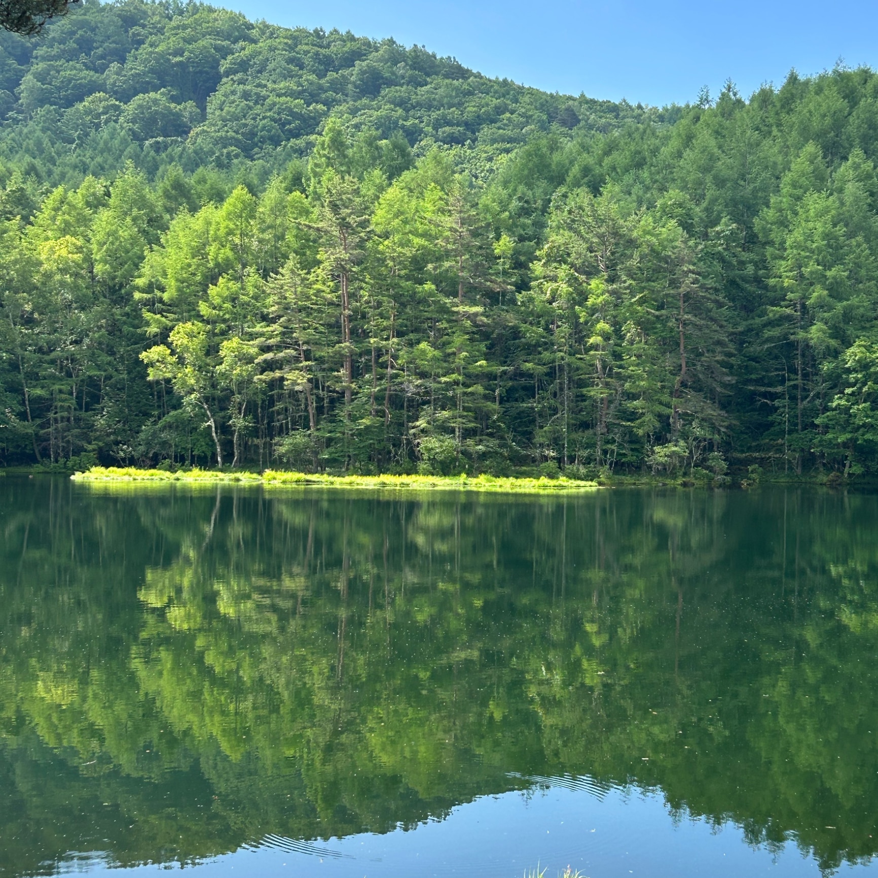 Green Yuka のROOM - 欲しい! に出会える。