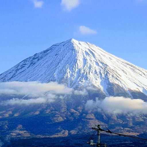 sakuya のROOM - 欲しい! に出会える。