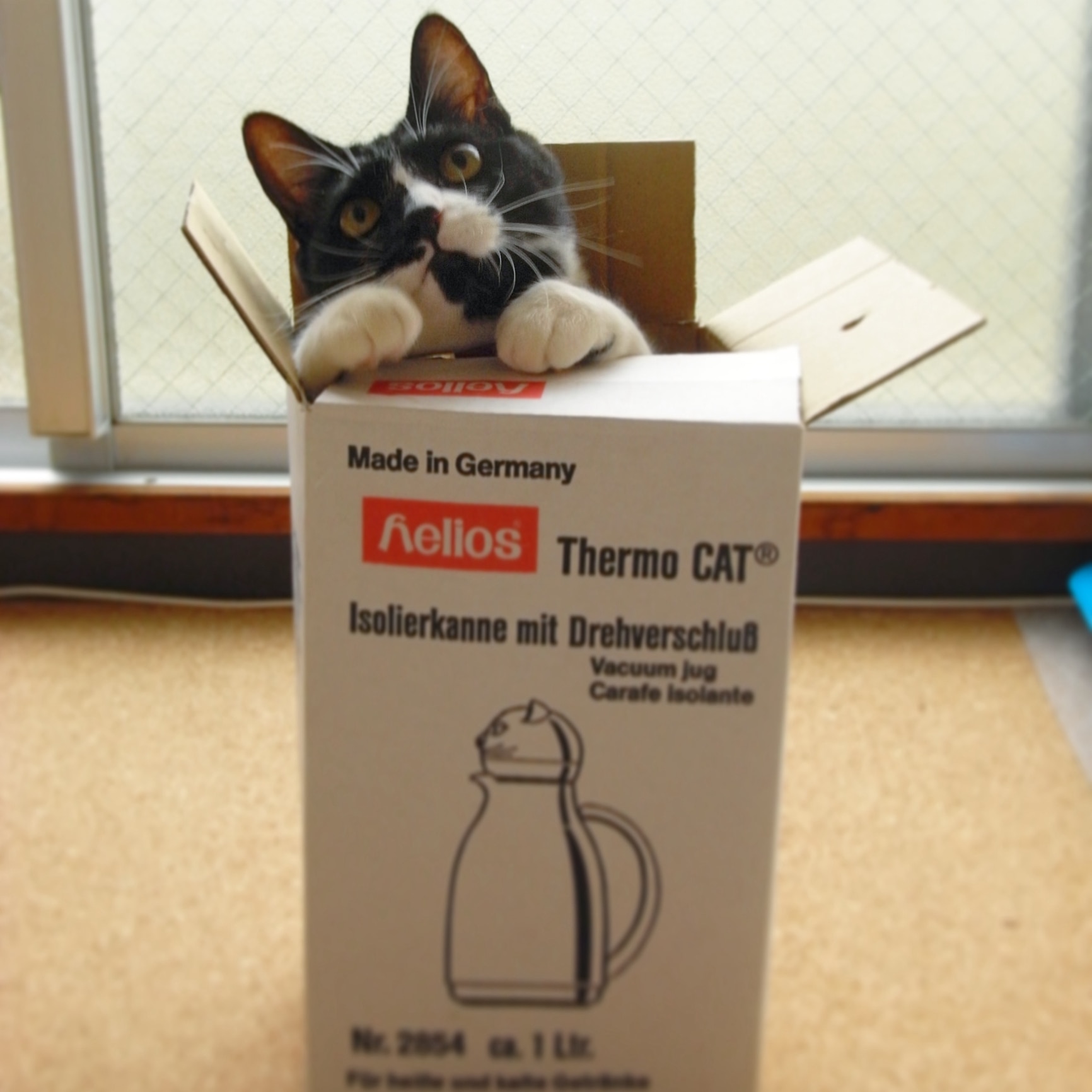 【あす楽】魔法瓶 保温ポット ヘリオス サーモ キャット カウ helios 1L ドイツ製 ｜ サーモ ポット ブラック ホワイト 保温保冷 ...
