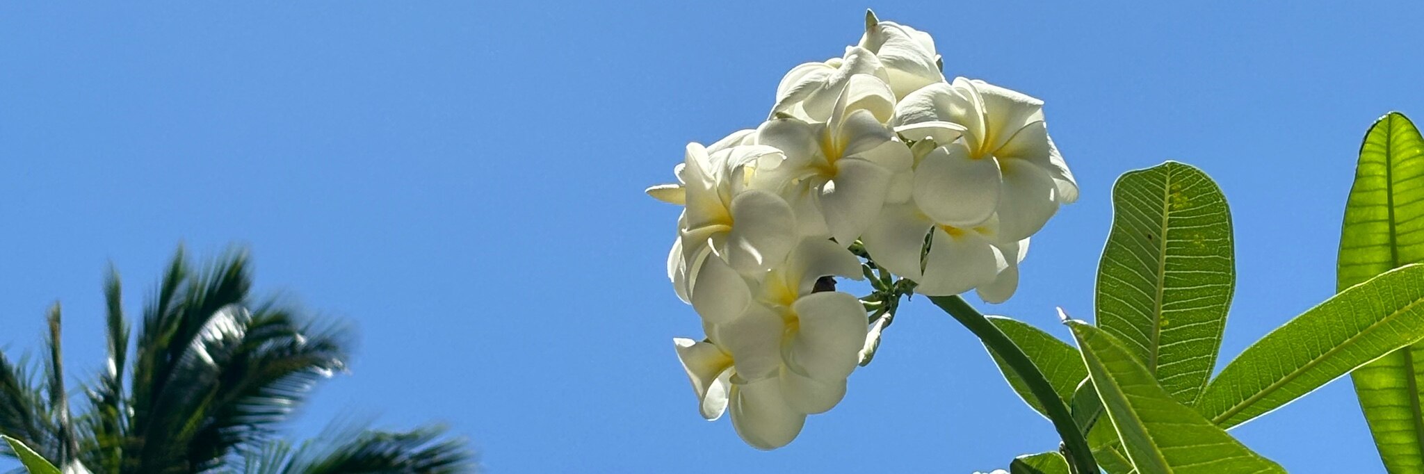 Yuka*•ROOM のROOM - 欲しい! に出会える。