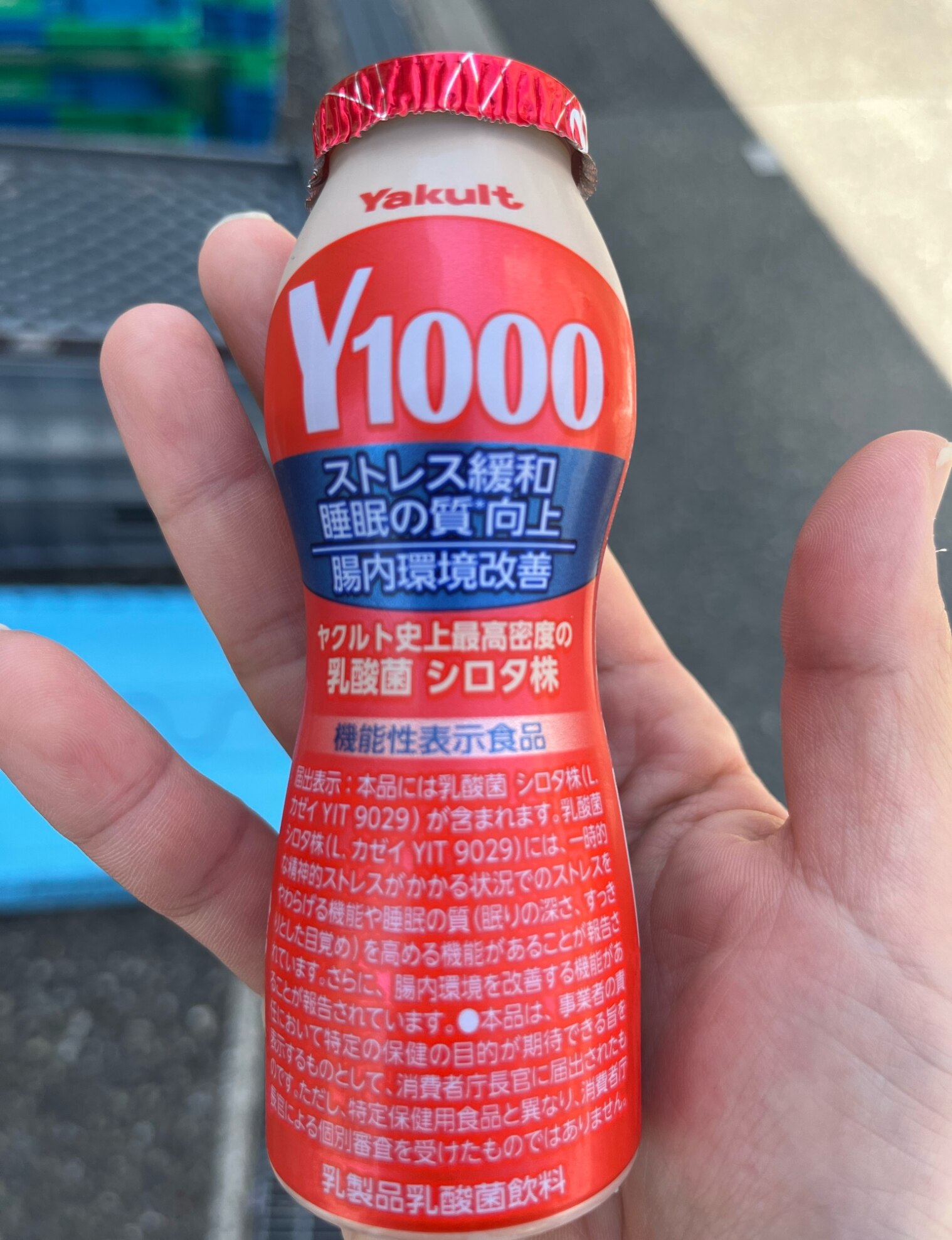 送料無料 ヤクルト Y1000(6本入り)×6パック クール