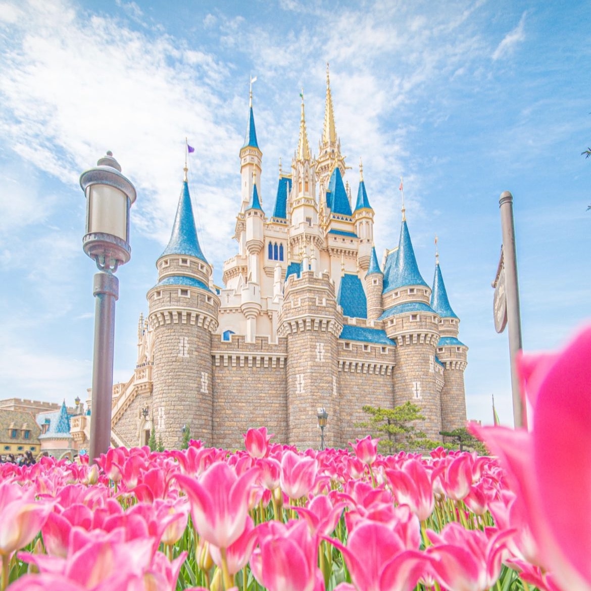 nico のROOM - 欲しい! に出会える。