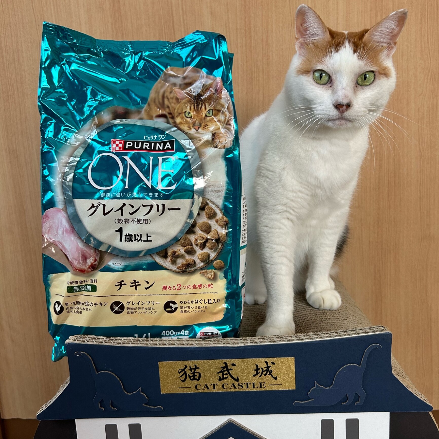 ピュリナ ワン キャット 1歳から全ての年齢に グレインフリー チキン(1.6kg*3袋セット)【qqu】【dalc_purinaone ...