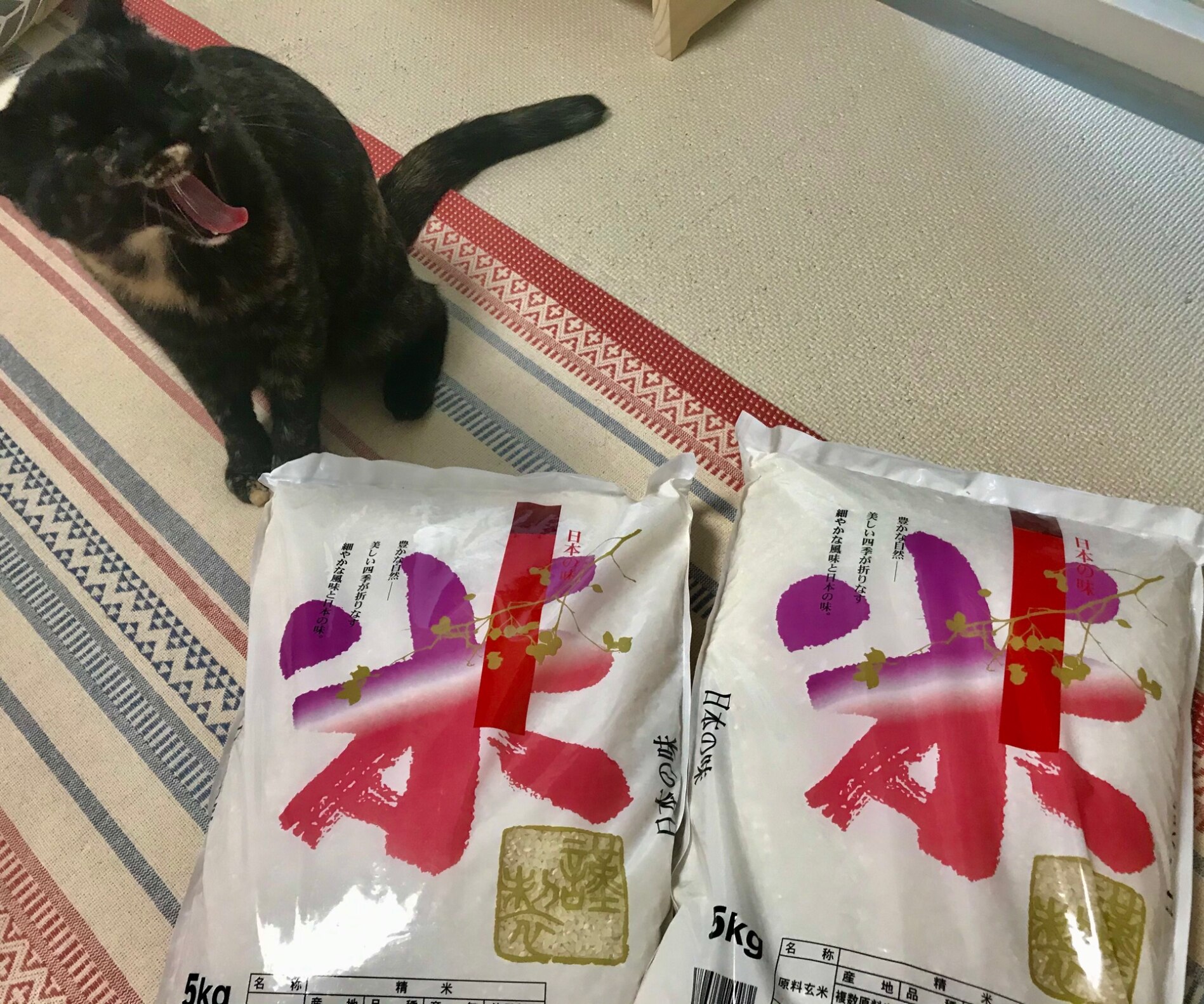 お米 10kg 送料無料 オリジナルブレンド米 日本の味 5kg2袋 複数原料米