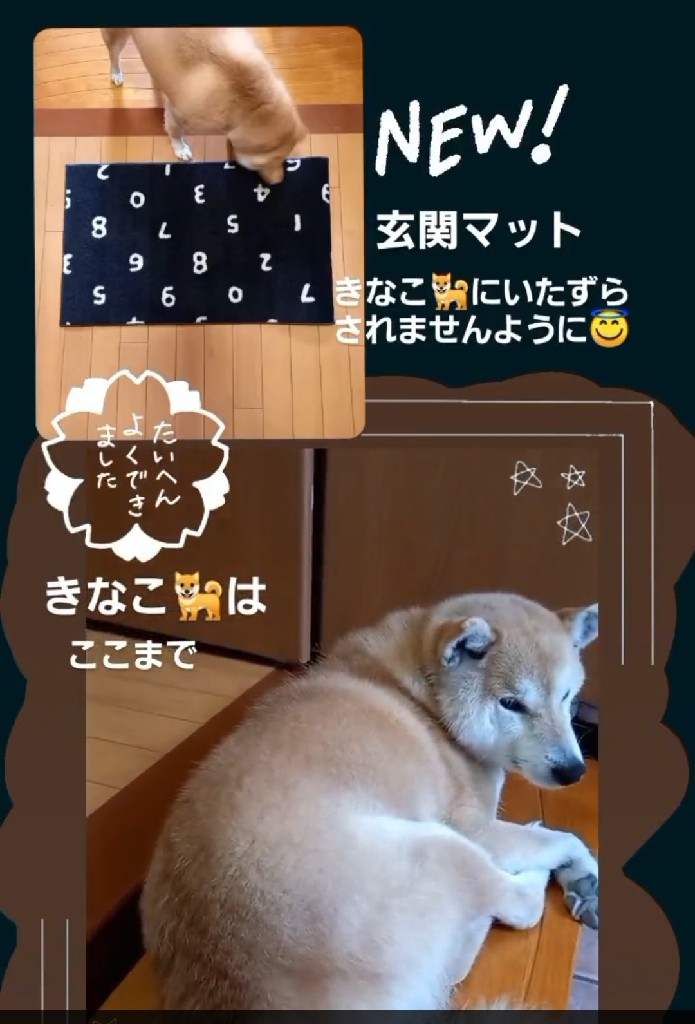 SOUSOU(ソウソウ)×クリーンテックス インテリアマット SOSUU