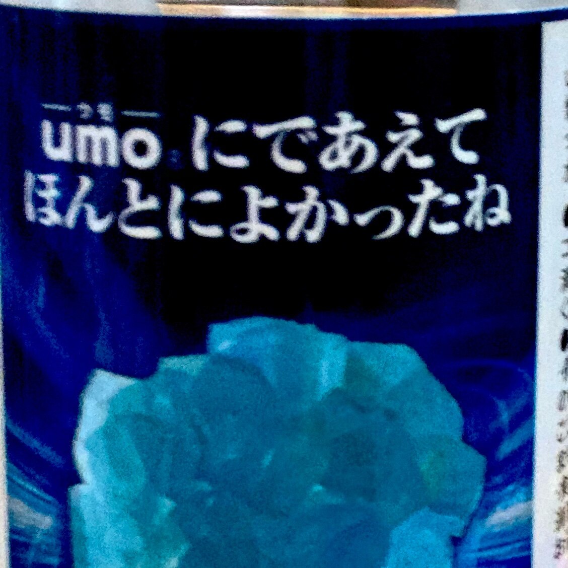 【楽天1位取得！ポイント増加！】シリカ水 が作れる 水溶性ケイ素 umo濃縮液原液 50ml / 200ml / 500ml 日本製 飲むシリカ サプリ 元祖シリカ 日本珪素医科学学会承認品 ...