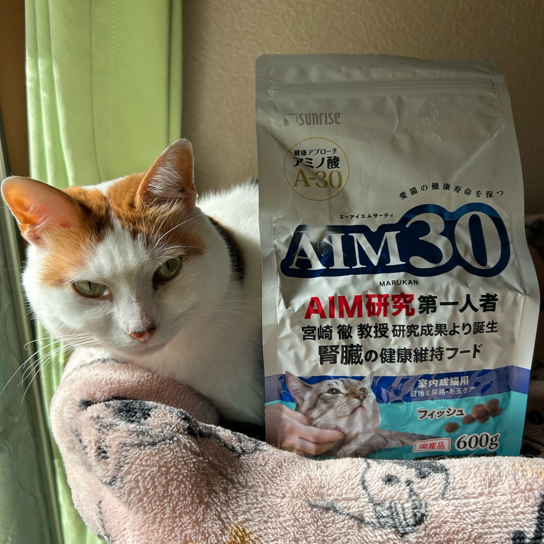 キャットフード ドライ AIM30 室内成猫用 健康な尿路・毛玉ケア フィッシュ 600g マルカンサンライズ事業部 AIM30ネコニヨロケタマF600G