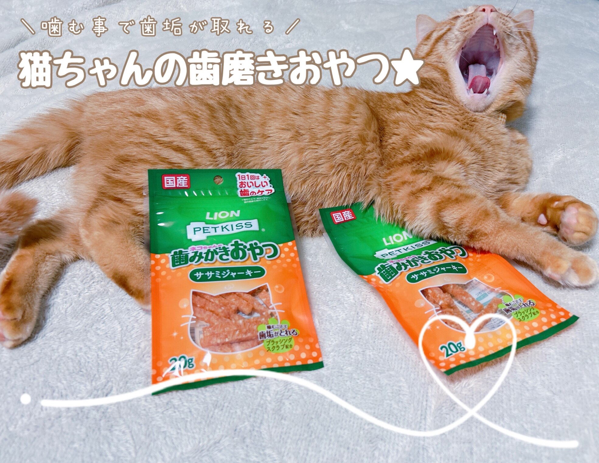 ライオン PETKISS ネコちゃんの歯みがきおやつ ササミジャーキー 20g