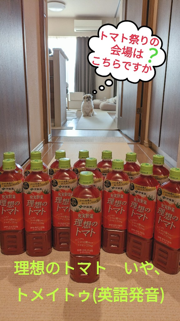 【法人様及び平日時間指定なし・配送地域限定配送】伊藤園 ITOEN 砂糖・食塩 不使用 トマト100％ 充実野菜 理想のトマト 740g【1ケース 15本入】 甘みと酸味の理想のバランス 理想 ...