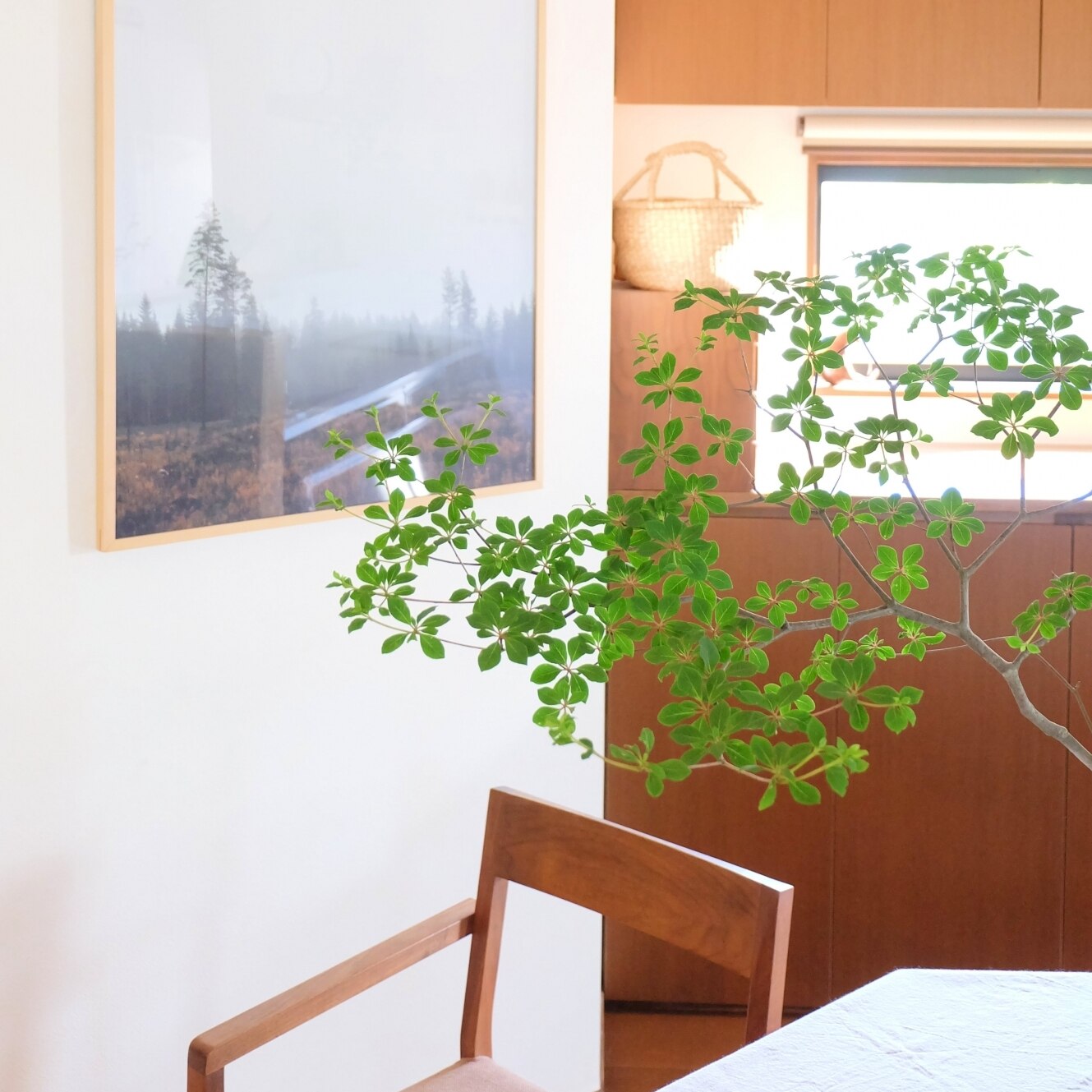 Na～ のROOM - 欲しい! に出会える。