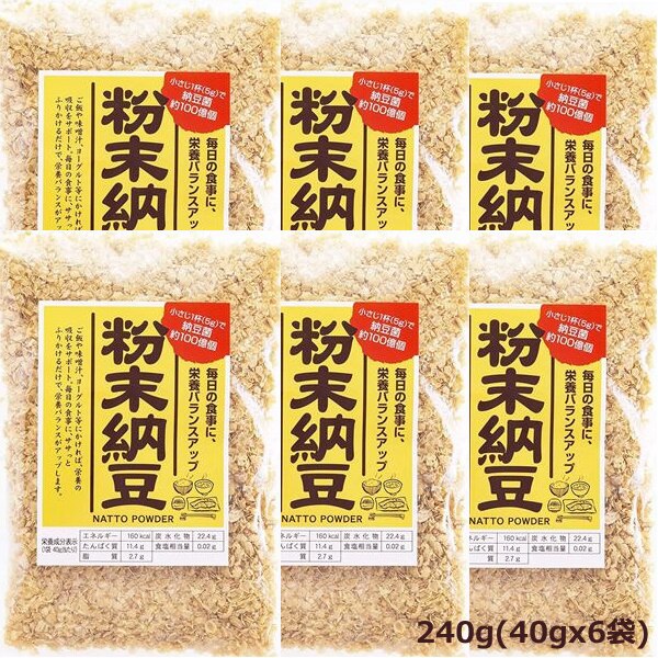 送料無料 信州物産 粉末納豆 40g×6袋