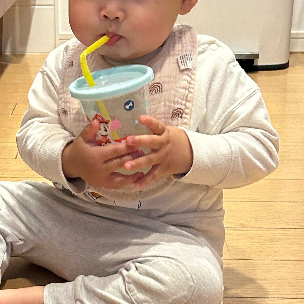 【メール便利用！送料込み】スケーター 食洗機対応ストロー付タンブラー3個セット320ml パウパトロール23(SIH3ST)(配送区分A)