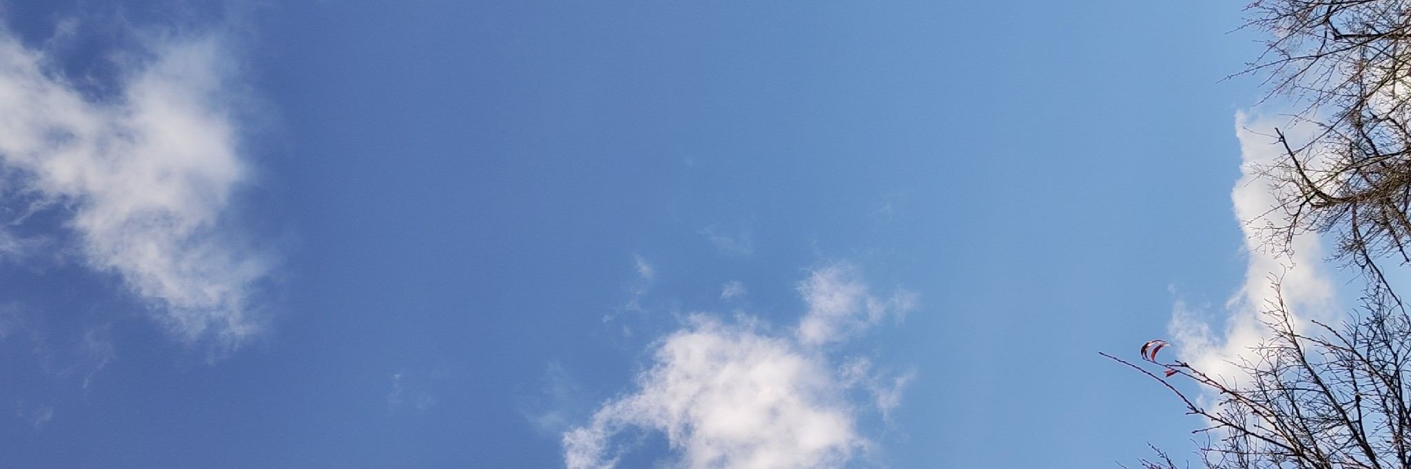 momo29 ご購入ありがとうございます のROOM - 欲しい! に出会える。