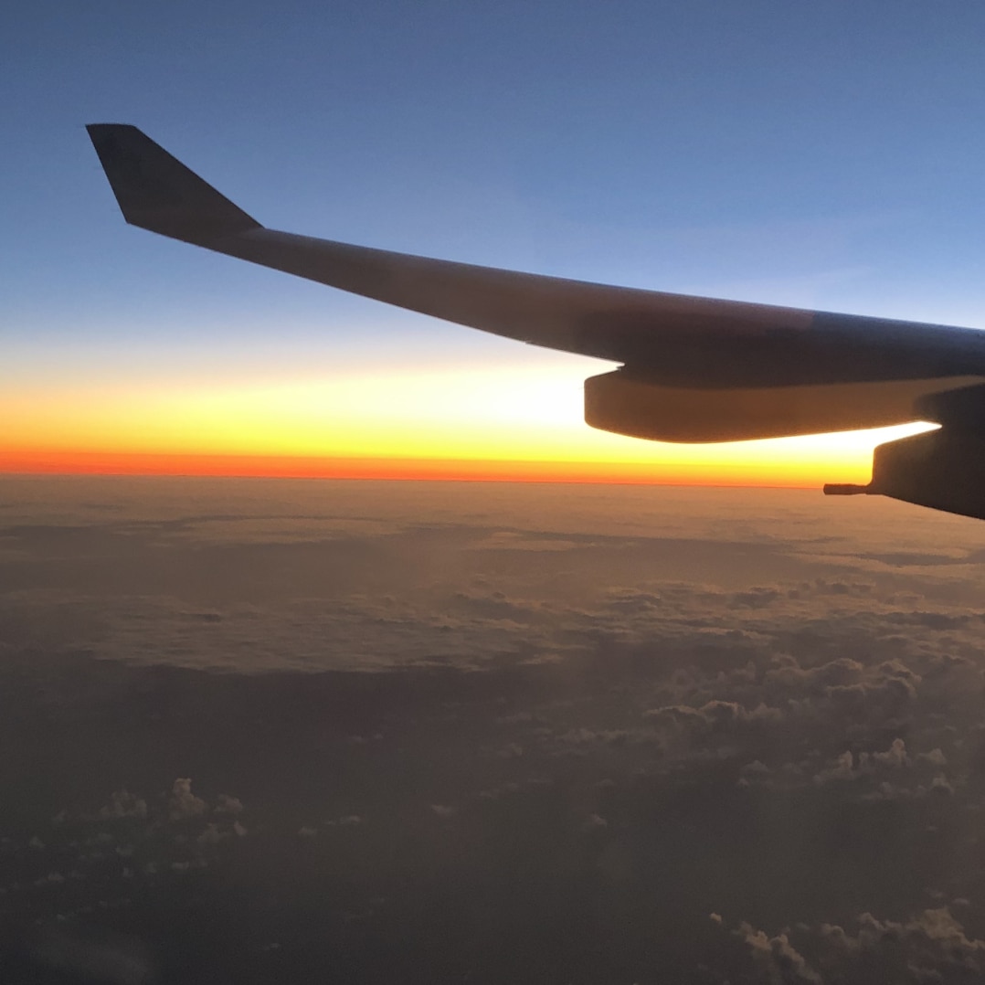 yuuy のROOM - 欲しい! に出会える。