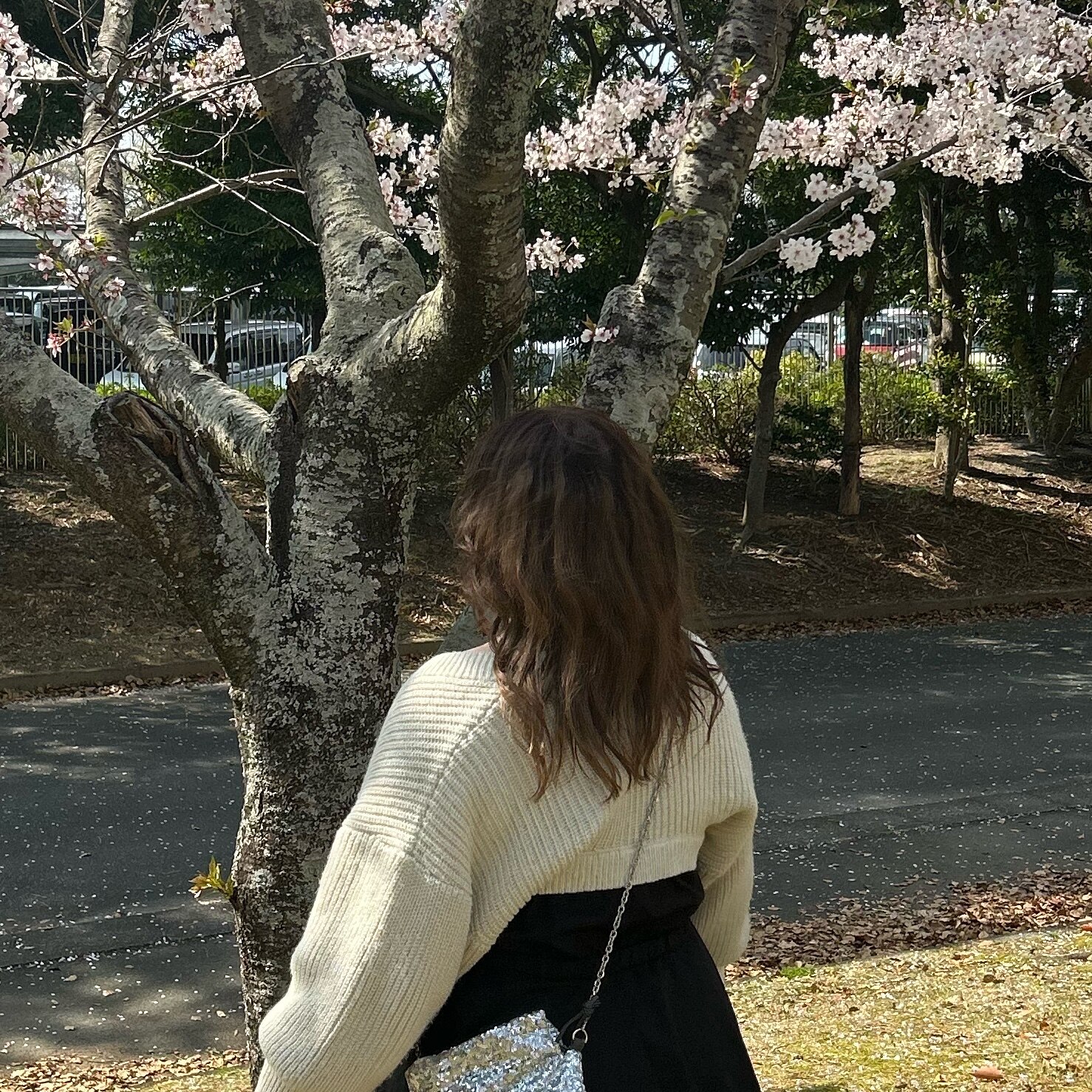 【momo】roomへようこそ 🎀 のROOM - 欲しい! に出会える。