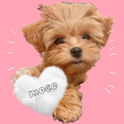 moco🧸 ig moco.s2.rs のROOM - 欲しい! に出会える。