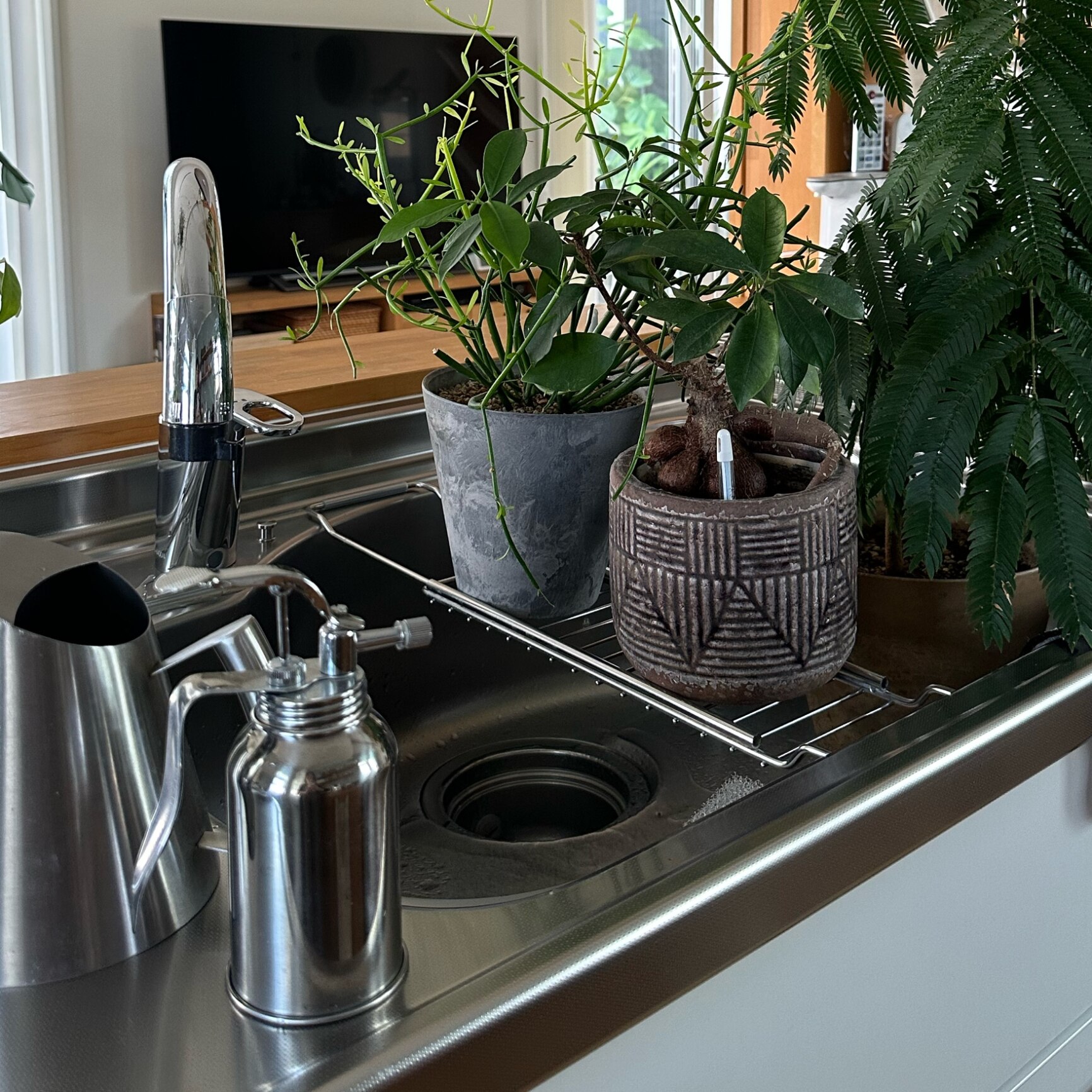 【KEYUCA公式店】ケユカ ポンテ シンクスライドラック[おしゃれ シンプル ステンレス 水切りかご 一人暮らし 狭いキッチン 作業台 水切りカゴ シンク シンク内 水切りラック 可動 ...