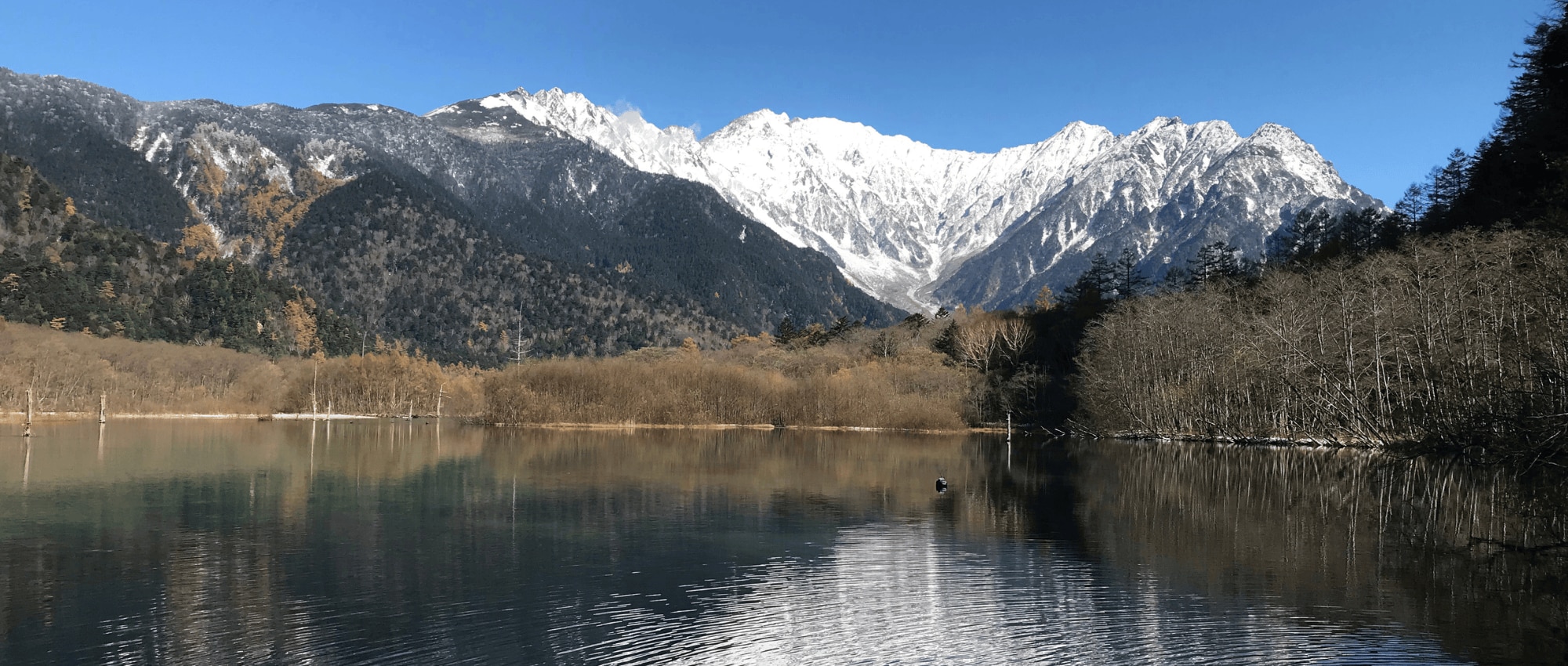 きよ:kiyo のROOM - 欲しい! に出会える。