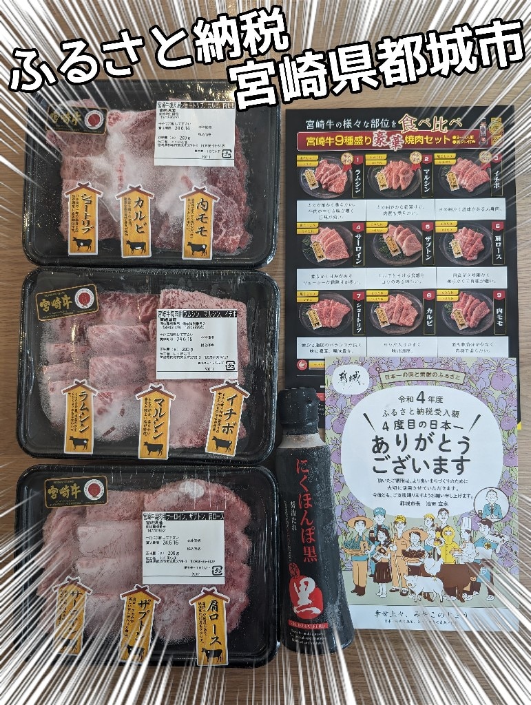 【ふるさと納税】【セット内容＆発送時期が選べる！】宮崎牛9種盛り焼肉セット - 宮崎牛 各67g/各200g/各400g 約200g×3P/約600g×3P/約600g×3P×2 牛肉 タレ ...