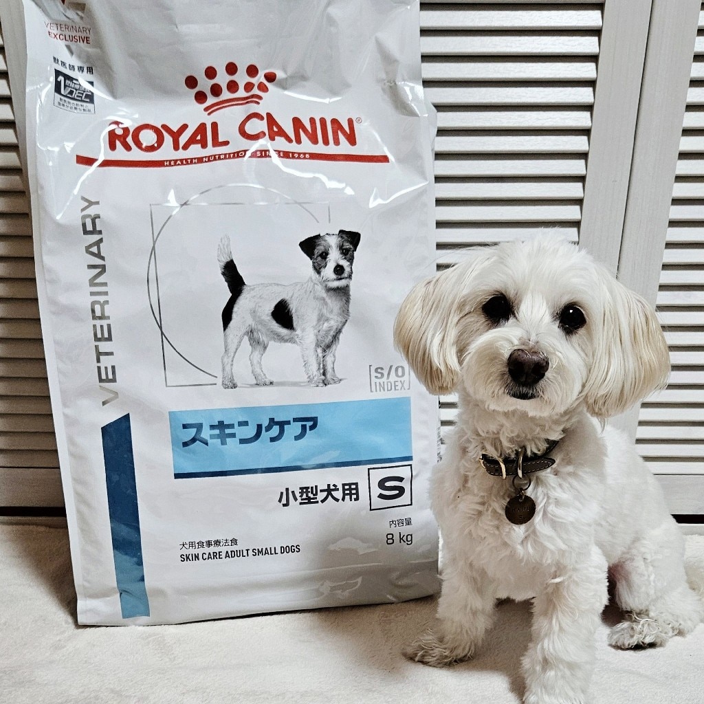 犬用 スキンケア 小型犬用S 8kg【ロイヤルカナン食事療法食】※ 「認証はこちら」からカートに入れてください