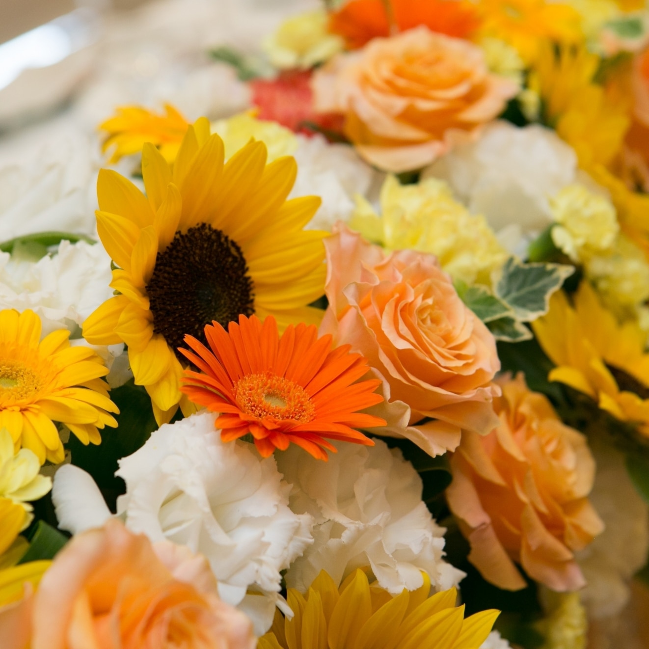 yuna☆☆ のROOM - 欲しい! に出会える。