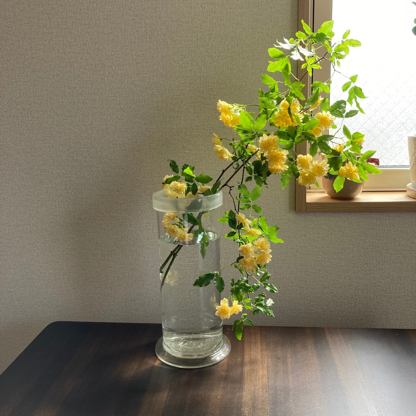 popo のROOM - 欲しい! に出会える。