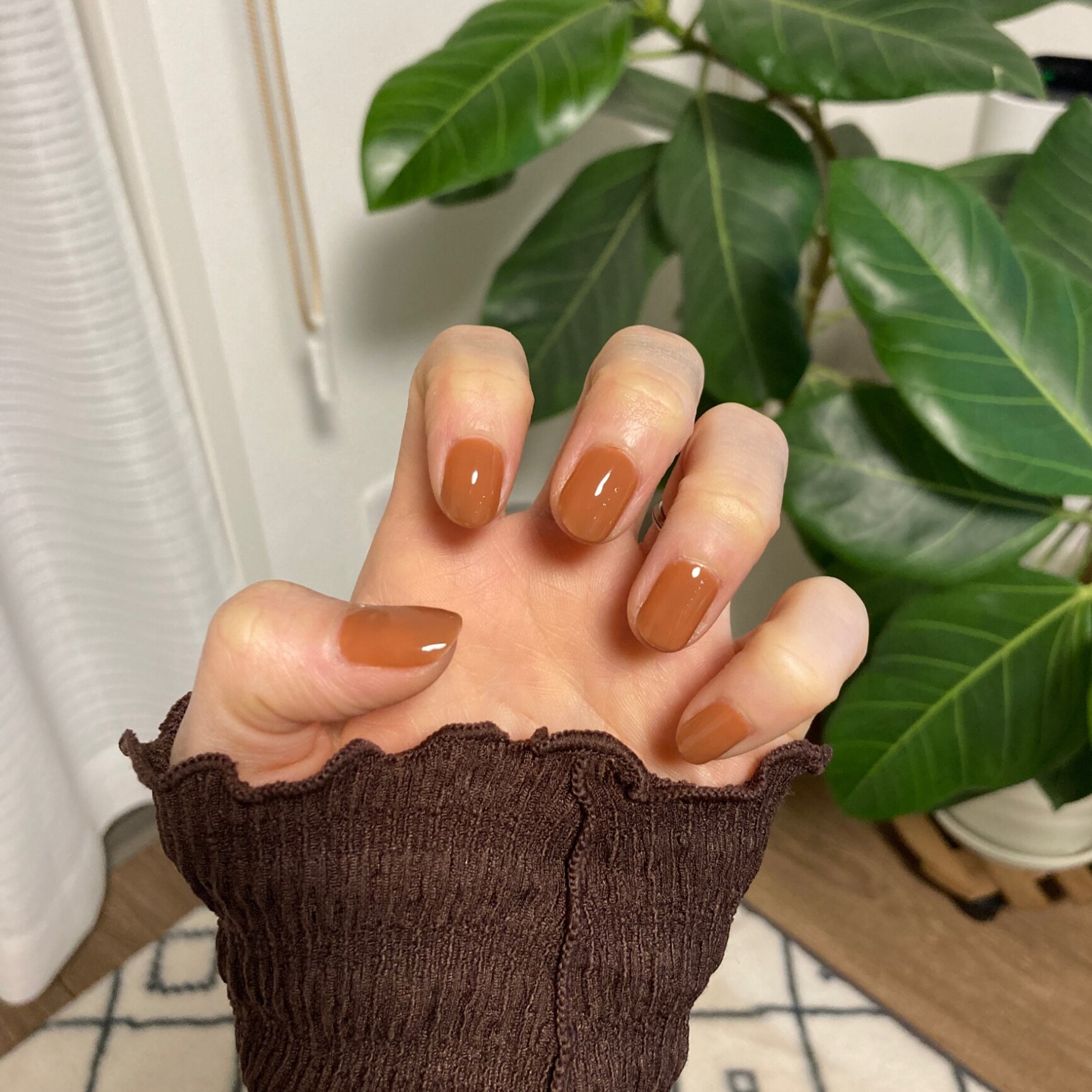 「ポイント10倍 9月1日」 HOMEI 12FREE ネイルカバーハードナー FN-103 Russet Brown 13ml マニキュア ...