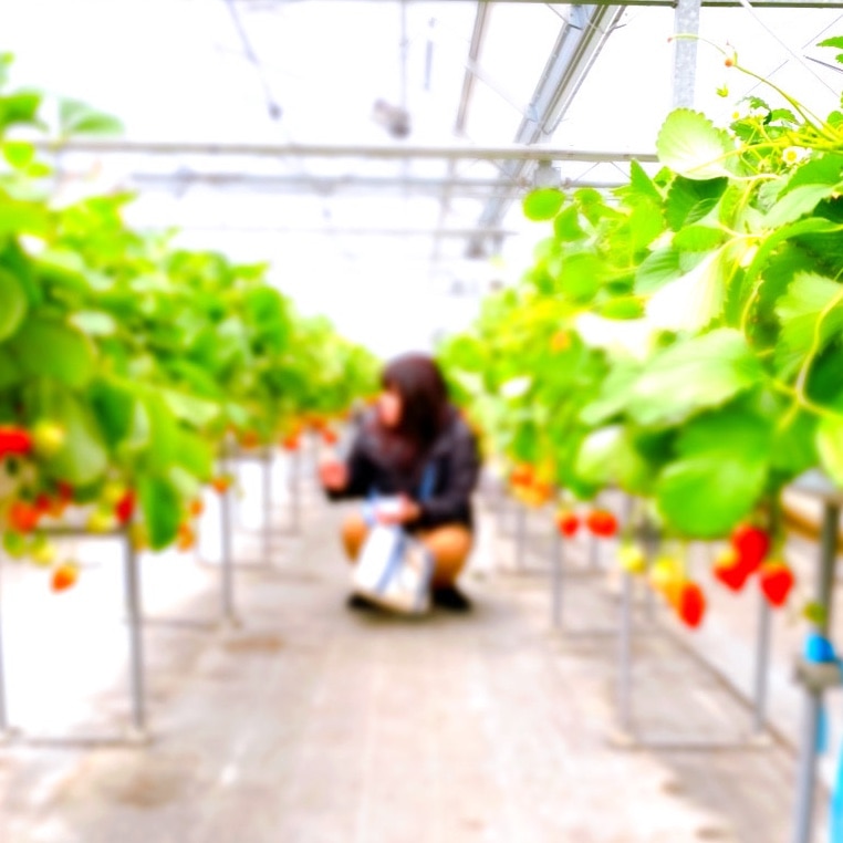 SAMI-go のROOM - 欲しい! に出会える。