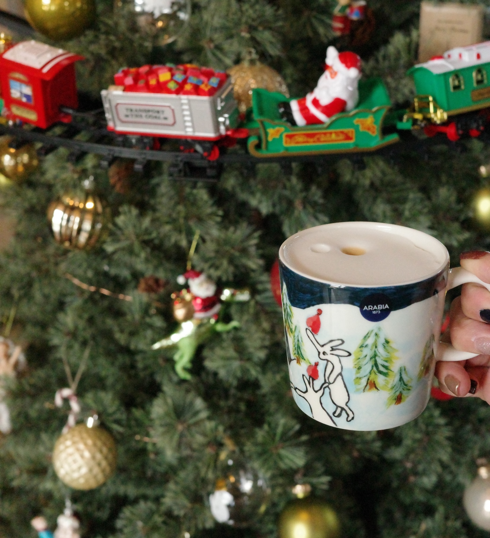 【スコープ特注 在庫限り】アラビア / ヘルヤ マグ 0.3L [ Arabia Helja ]