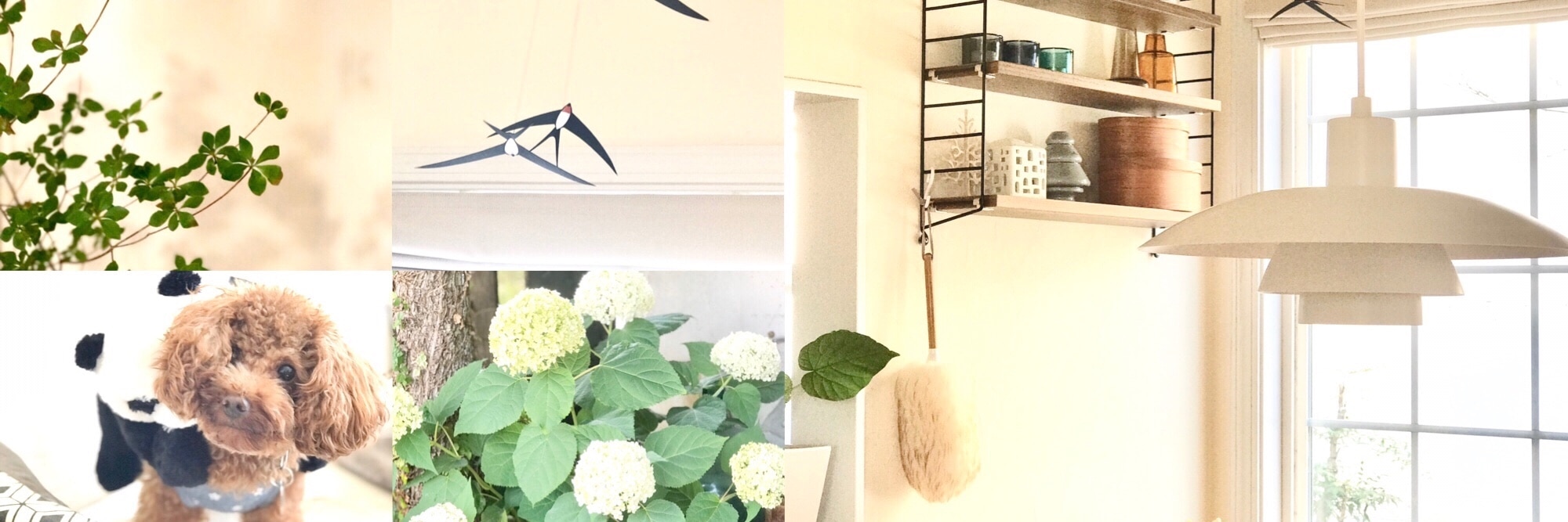 REI のROOM - 欲しい! に出会える。