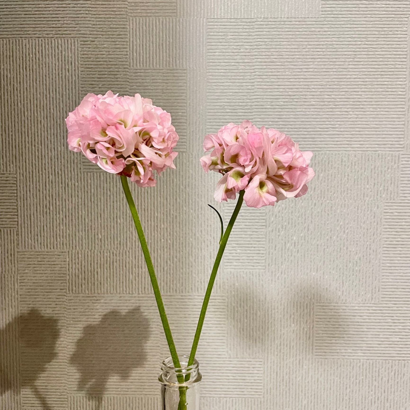 misato🌷🫧 のROOM - 欲しい! に出会える。