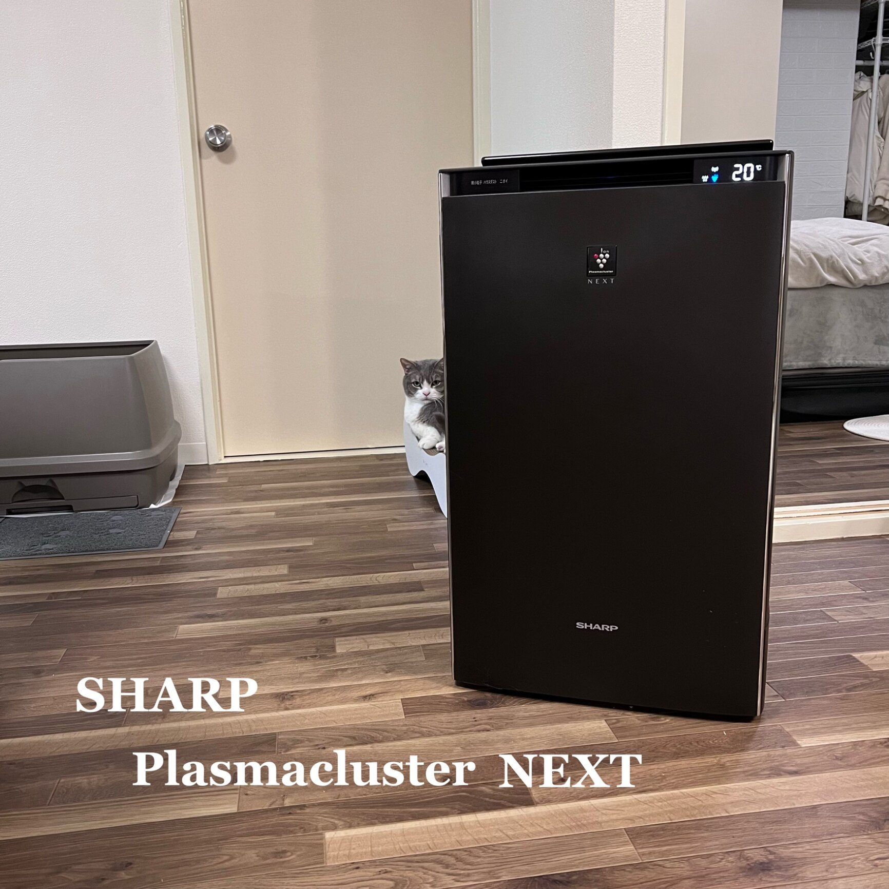 シャープ 加湿清浄機 KI-PX75 ホワイト系/ブラウン系 プラズマクラスターNEXT ハイグレードモデル 最大加湿900ml/h 花粉 消臭 ウイルス