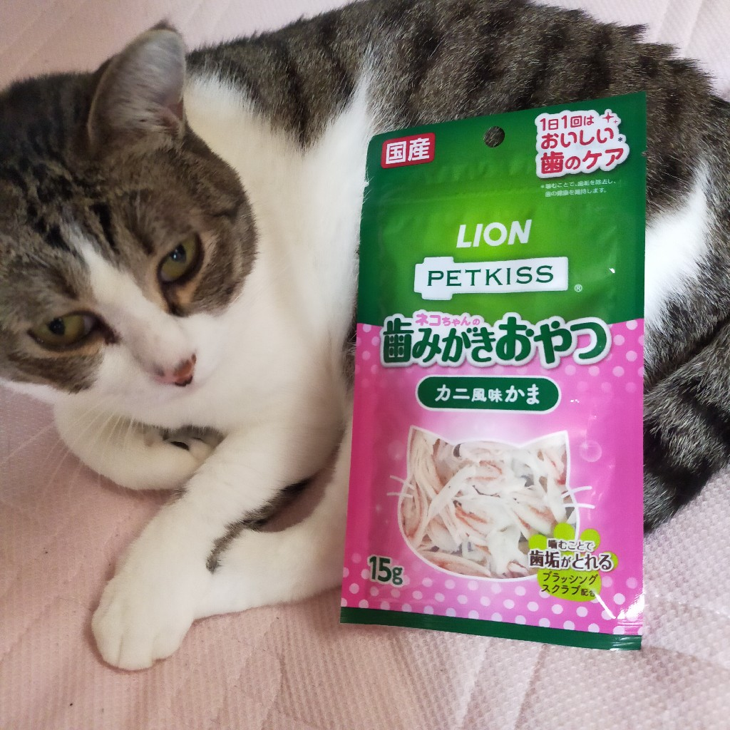 PETKISS(ペットキッス) ネコちゃんの歯みがきおやつ カニ風味かま 15g